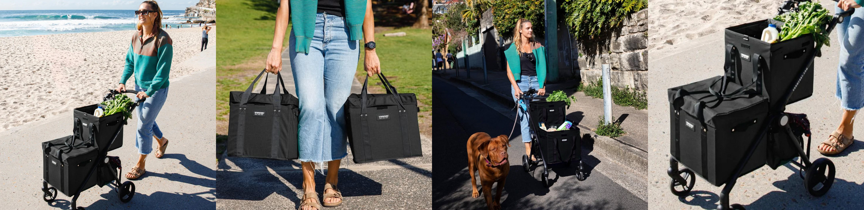 VOOMcart – Designer Carts